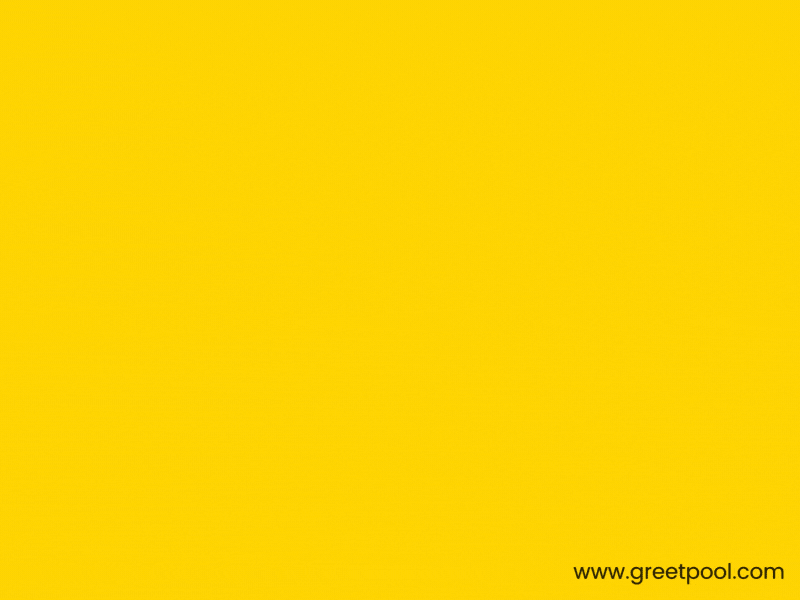 Appreciation GIFs - Free Employee & Teacher GIFs | GreetPool
