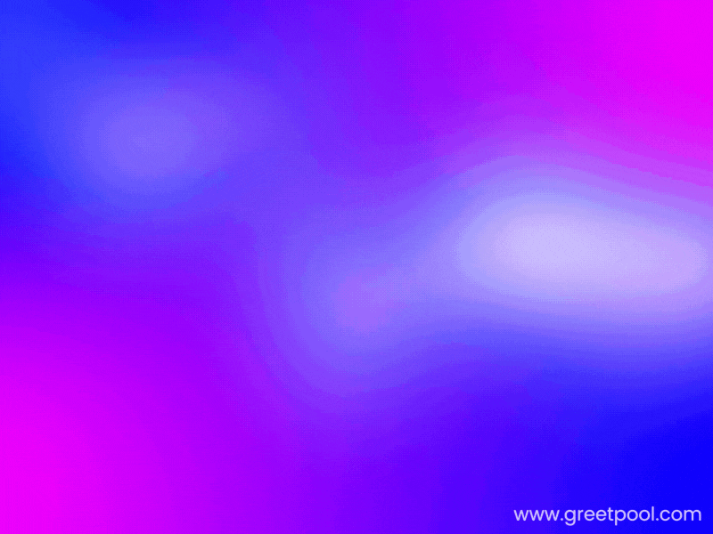 Congratulations GIFs - Free Congrats GIFs | GreetPool